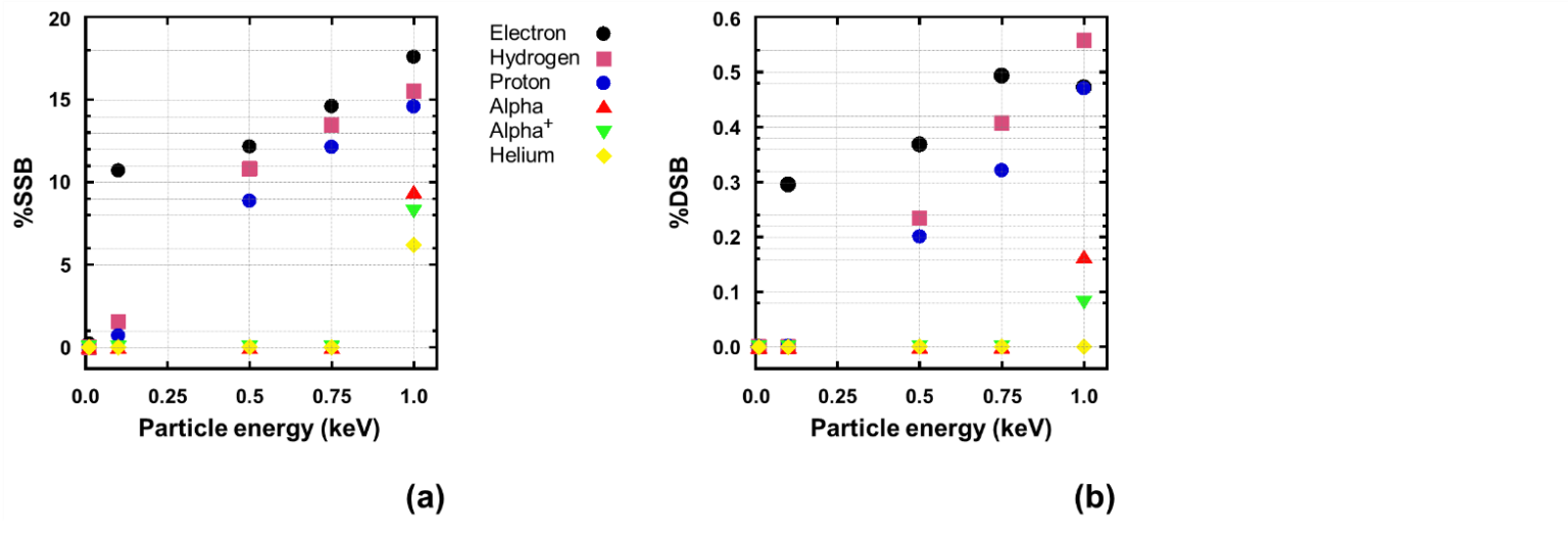 Geant4-DNA simulation of radiation effects in DNA on strand breaks from ...